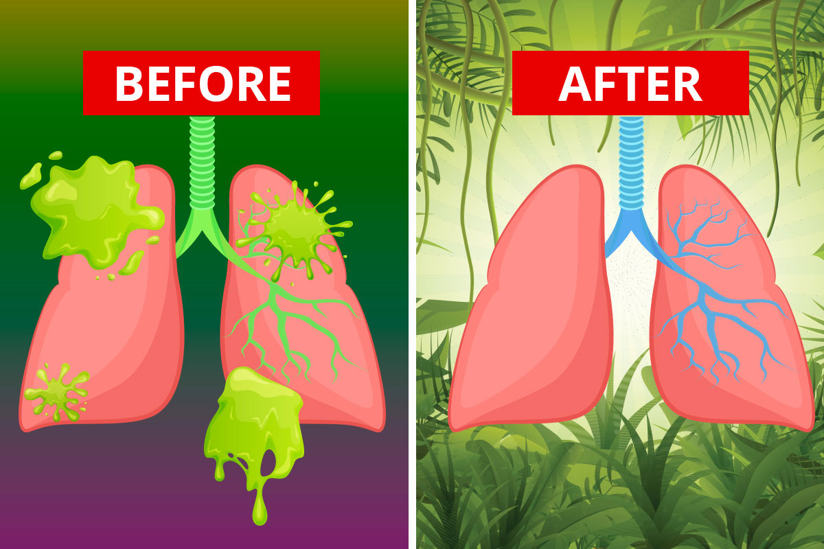 6 Methods To Clear Mucus In The Lungs Top Review Gadget